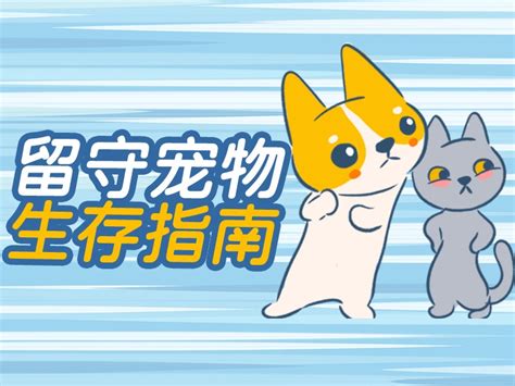 养宠日记 0初心始终1 站酷ZCOOL
