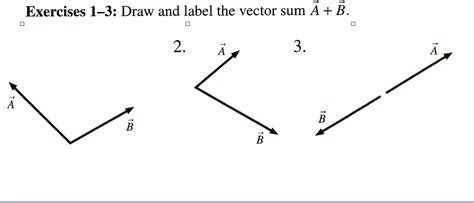 Answered Exercises 1 3 Draw And Label The Bartleby