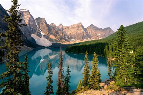 Ecs Check Uk Employer Checking Service Guide For Hr Ias