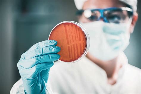 Cell And Tissue Analysis Invitek Diagnostics