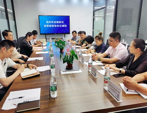 热烈欢迎高新区经贸局局长丁启民莅临睐明公司参观 公司公告 睐明