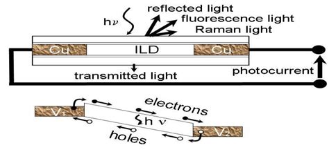 Illustration Of Basic Interaction Between Light And Interlayer
