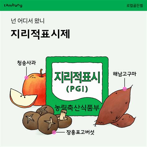 지리적표시제 넌 어디서 왔니 탐방 Tambang 머물거나 떠나거나 N지선다