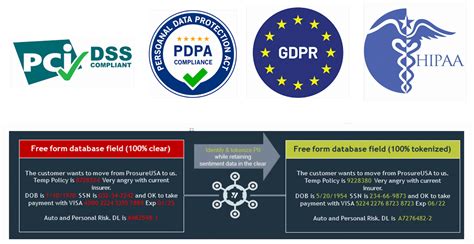 Data Tokenization Asic Cyber Security