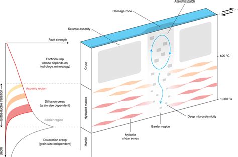 Vertical And Along Strike Variations In Seismicity On Otfs Fully