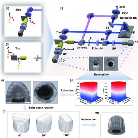 The Boundary Segmentation Images The Boundary Segmentation Images