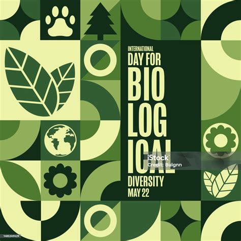 국제 생물 다양성의 날 5월 22일 휴일 개념입니다 배경 배너 카드 텍스트 비문이 있는 포스터를 위한 템플릿입니다 벡터 Eps10 그림입니다 구조에 대한 스톡 벡터 아트 및
