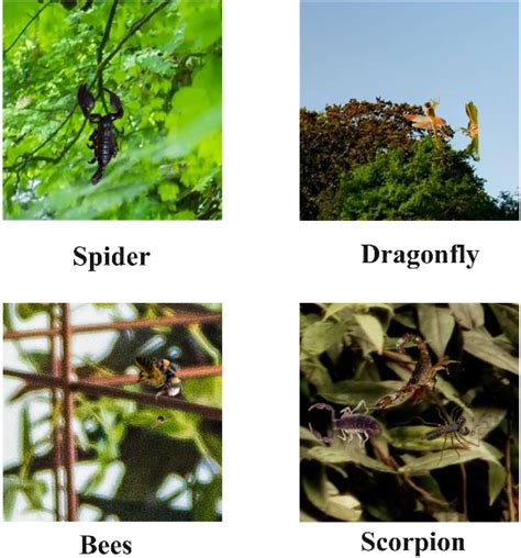 Figure 1 From Integrated Deep Learning Framework For Insect Detection And Classification In