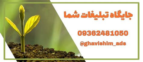 معرفی 6 تا از بهترین سمعک داخل گوشی Ite سال 2025