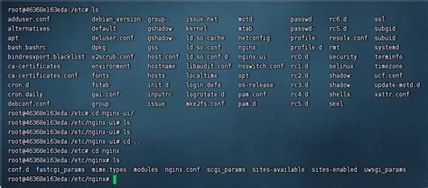 docker 二次部署以后，web界面无法展示 · issue 95 · 0xjacky nginx ui · github