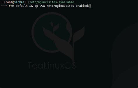 konfigurasi nginx install dan membuat sub domain maulana efendi