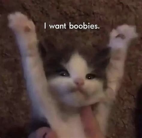 Milada On Twitter Https T Co Ztabjgxpr Twitter