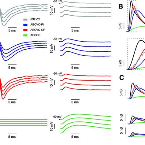 Spectrogram Using Short Time Fourier Transform A Conductance