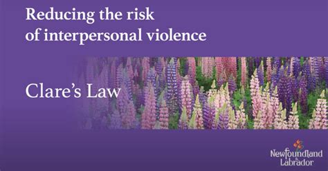 Interpersonal Violence Disclosure Protocol Act Clares Law Thrive
