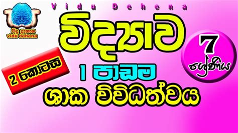Grade 07 Science Sinhala 7 වසර විද්‍යාව 01 පාඩම ශාක විවිධත්වය 2 කොටස Youtube