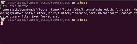 flutter on ubuntu arm64 · issue 81156 · flutter flutter · github