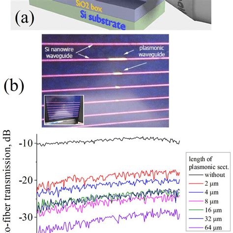 A Experimental Setup For Measuring The Propagation Loss Of A Surface