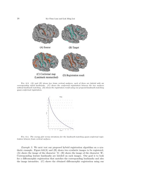 Landmark And Intensity Based Registration With Large Deformations Via Quasi Conformal Maps Deepai