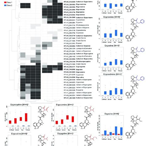 Consensus Phenotype Heatmap Constructed Using Hierarchical Clustering