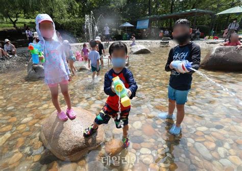 신나는 물총놀이 네이트 뉴스