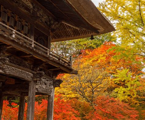 霊松寺 山門 GANREF