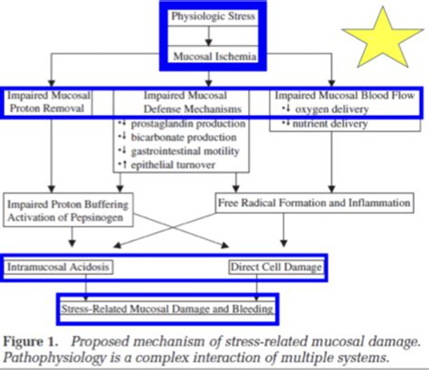 Stress Ulcer Prophylaxis Pt 1 Flashcards Quizlet