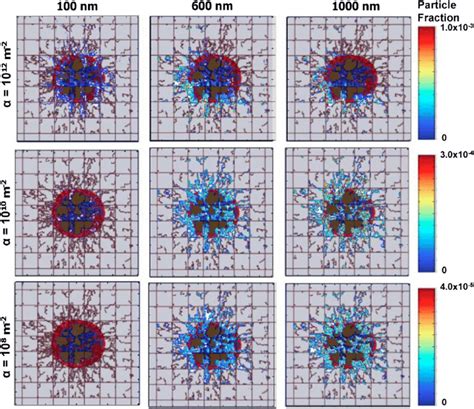 Model Predictions Of Np Tumor Delivery Efficiency A Multiscale Tumor