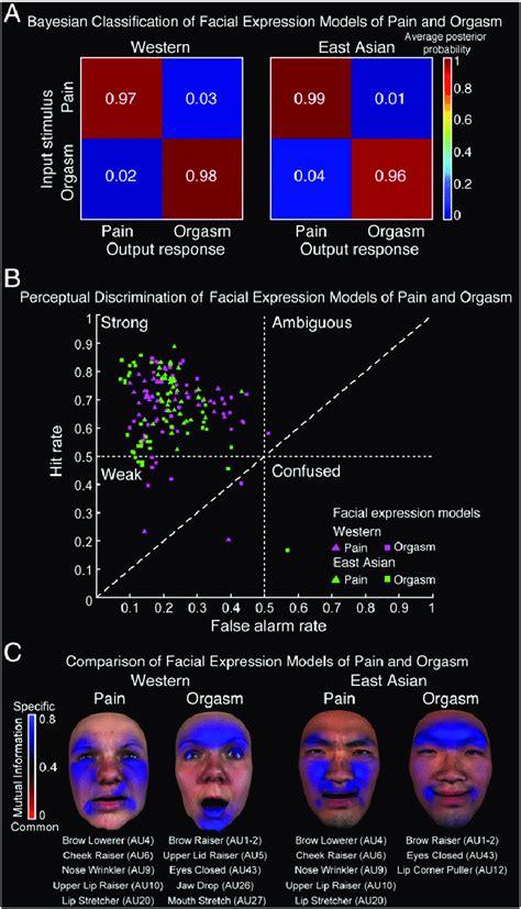 Distinctiveness Of The Facial Expression Models Of Pain And Orgasm In Download Scientific