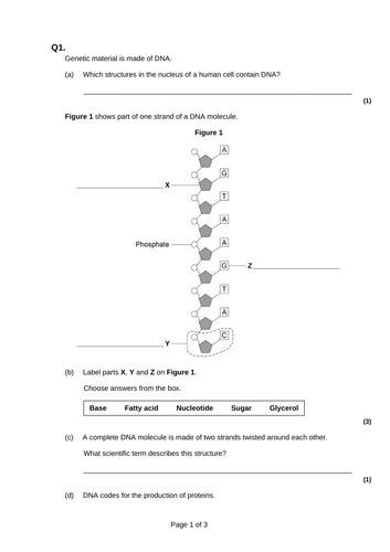 Aqa Gcse Biology Lesson 2 Structure Of Dna Bio Only Inheritance Variation And Evolution