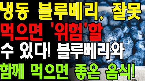 냉동 블루베리 잘못 먹으면 위험할 수 있다 블루베리와 함께 먹으면 좋은 음식 건강 전문가의 조언 Youtube