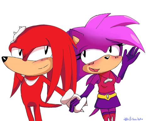 Collab Knuckles And Sonia By Mewlook1401 On Deviantart
