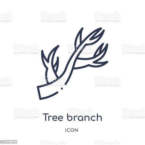 가을 개요 컬렉션에서 선형 트리 분기 아이콘입니다 얇은 선 트리 분기 벡터 흰색 배경에 고립입니다 트리 분기 유행 그림 나무에 대한 스톡 벡터 아트 및 기타 이미지 Istock