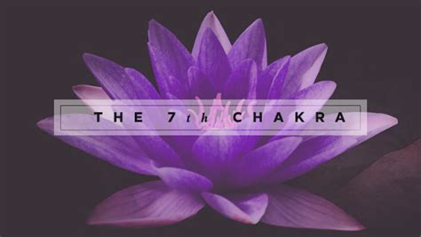 Crown Chakra Lotus Sahasrara Chakra Sanskrit Vector Images Over 270