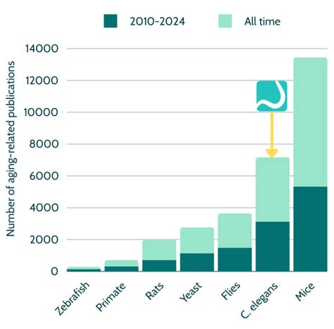 Aging And Longevity Studies Nagi Bioscience