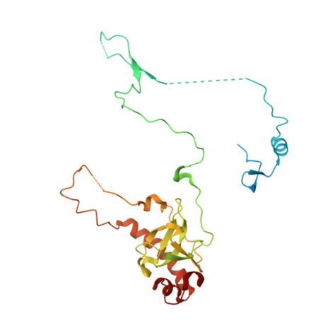 Rcsb Pdb 8y0w Dormant Ribosome With Eif5a Eef2 And Serbp1