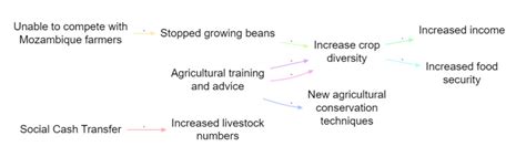 EvalTuesdayTip Causal Mapping A Great Way To Identify Attribution Khulisa Management Services