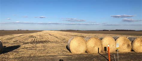 Reclaiming The Pipeline Right Of Way Kindersley Social Archive