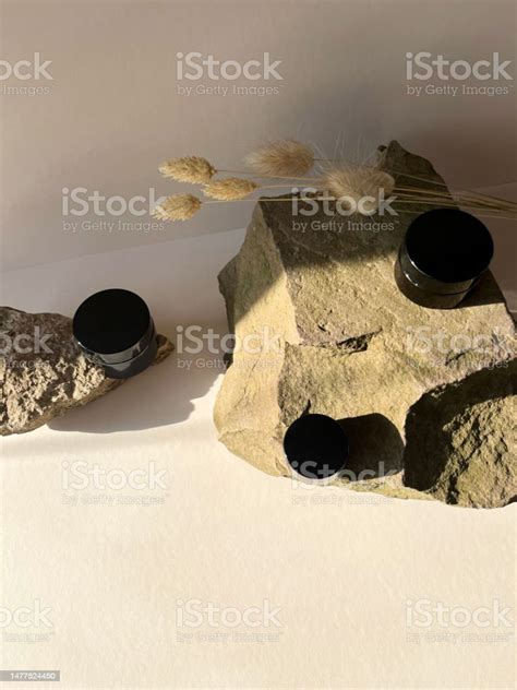 베이지색 배경 평면도에 고급 화장품 세트 플랫 레이 천연 바디 크림 깨끗한 항아리 모형 및 마른 꽃 Spa 천연 유기농 미용 제품 0명에 대한 스톡 사진 및 기타 이미지