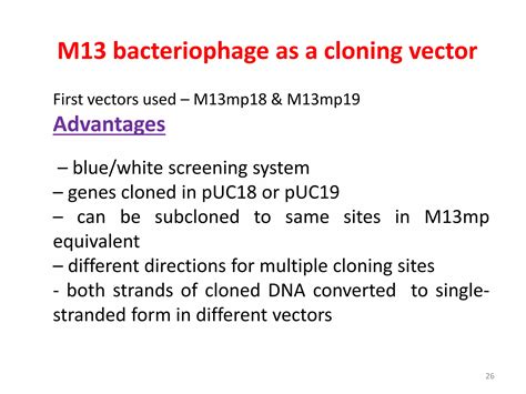Lectut Btn 202 Ppt L4 Bacteriophage Lambda And M13 Vectors 1 Pptx
