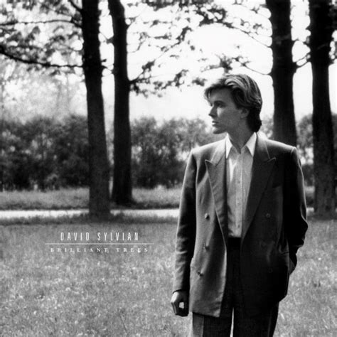 David Sylvian Brilliant Trees Vinyl Lp Five Rise Records