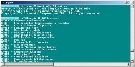 Db Access Using Net Data Providers