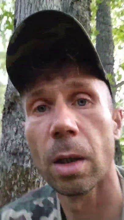 Красная шапочка и серый волк Youtube