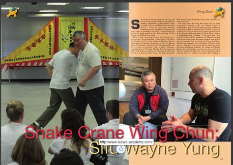Snake Crane Wing Chun Master Wayne Yungs Interview In International