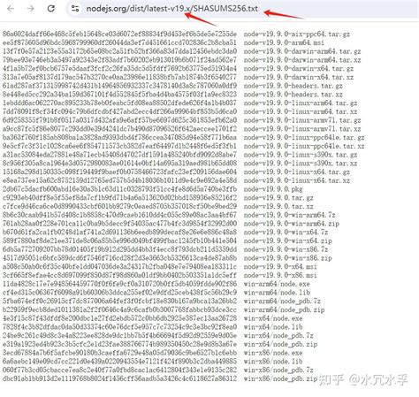 如何通过 Nvm 安装多版本 Nodejs？npm 安装失败了怎么办？ 知乎