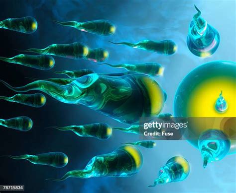 66 Sperm Wallpaper High Res Illustrations Getty Images