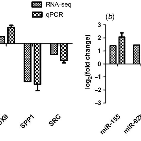 Five Randomly Selected A Mrna And B Mirna From Rna Seq Were Download Scientific Diagram