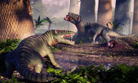 265 Million Year Old Fossil Reveals The Largest South American