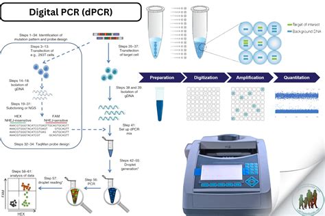 Digital Pcr Dpcr Purpose Types Procedure Result Interpretation And