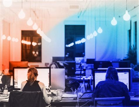 Network Vulnerability Scan Archivi Cerbeyra