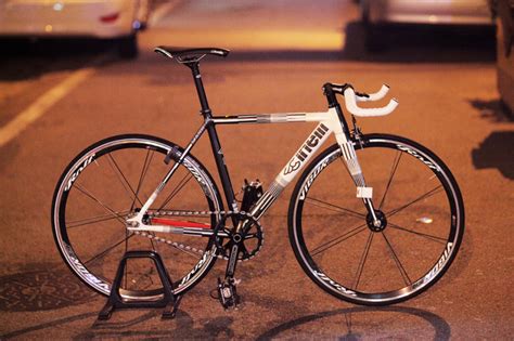 신스치넬리 패럴렉스롤프프리마 비고르 커스텀 출고 네이버 블로그